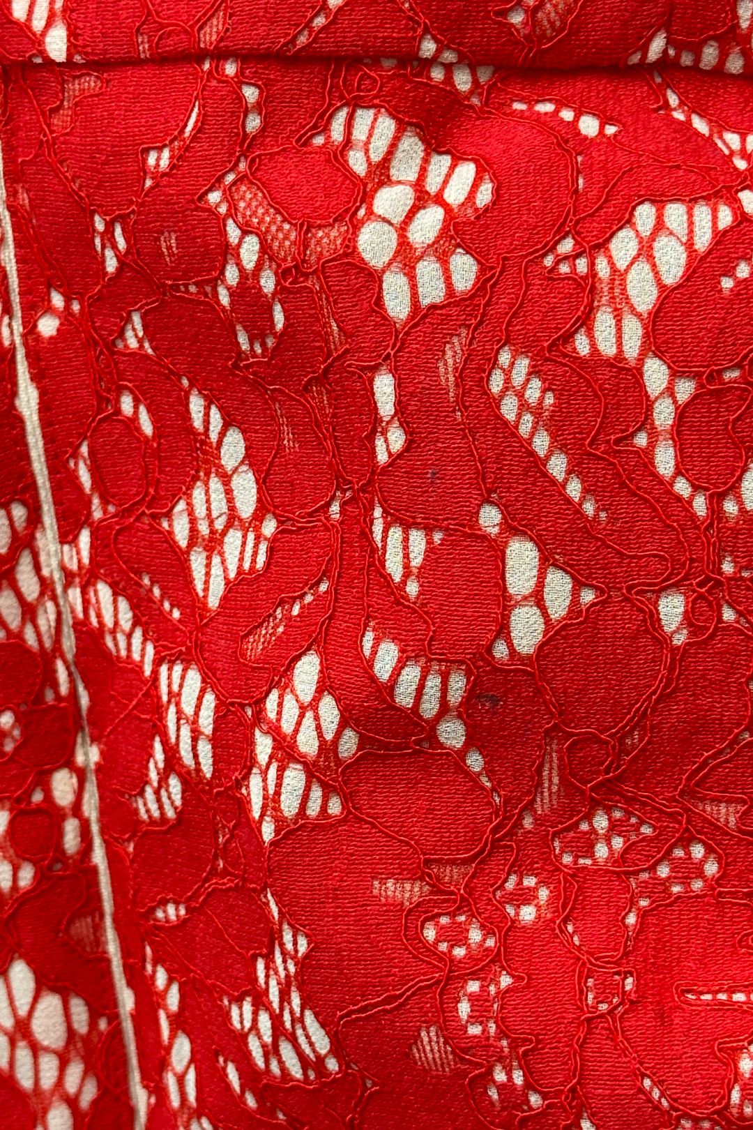 Buy High Tea Floral Lace Dress in Red | Review | GlamCorner