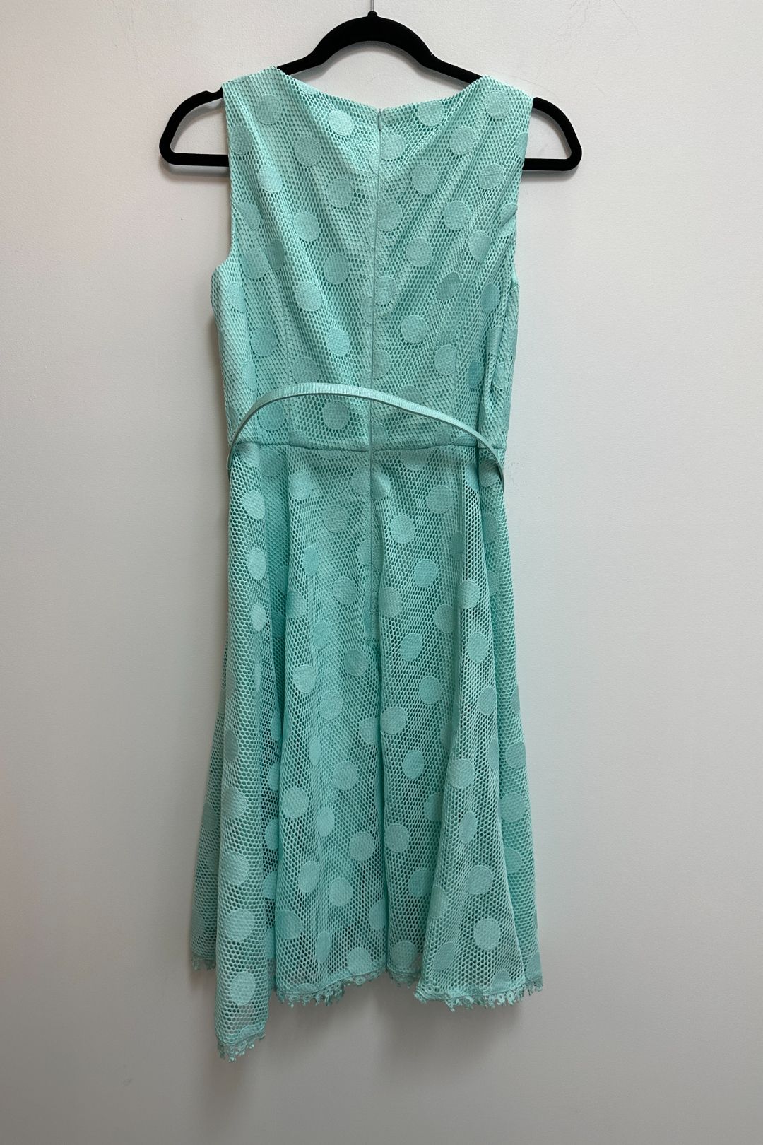 Buy Whole Lotta Love Dress in Mint Green | Review | GlamCorner